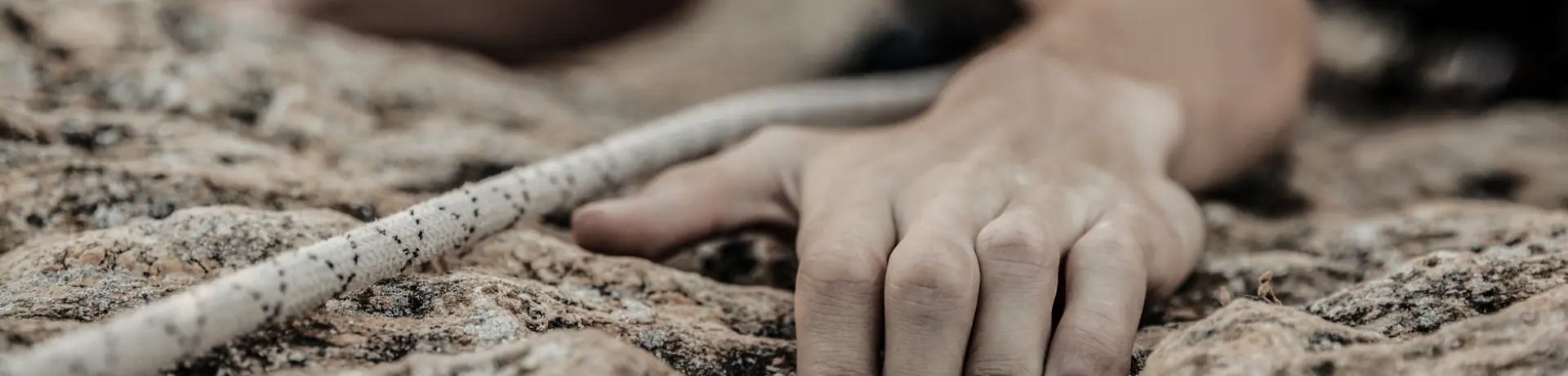 Logo Design - Thinkroom